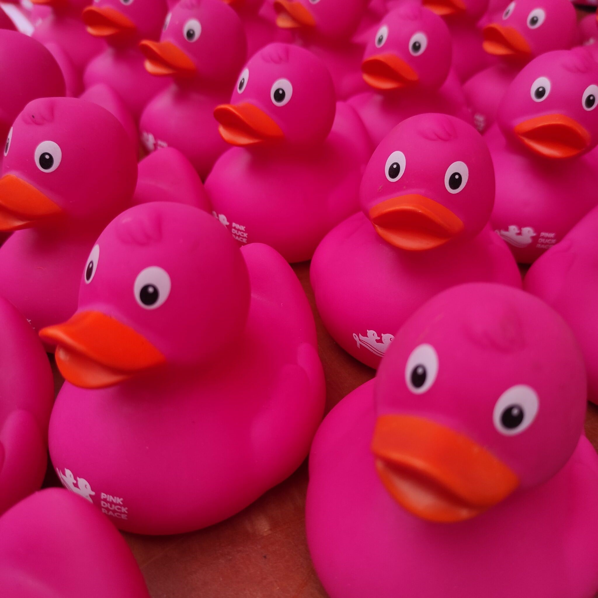landing - Pink Duck Race